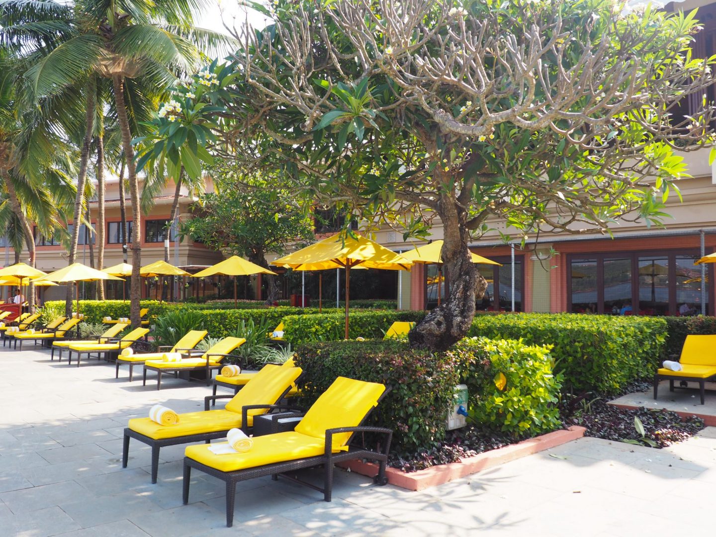 Exotic Stay At Marriott Goa Hotel & Spa - Fresh And Fearless