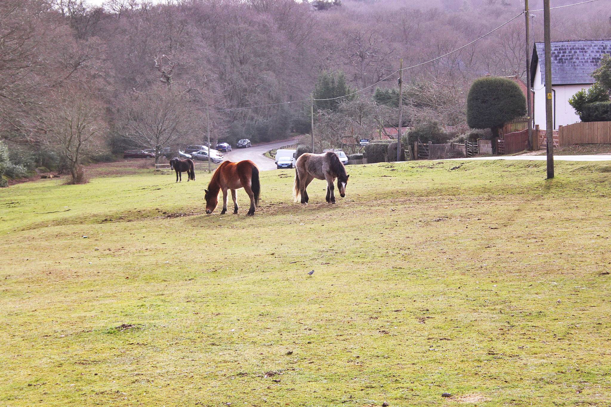 4 Reasons I Love The English Countryside - Fresh And Fearless